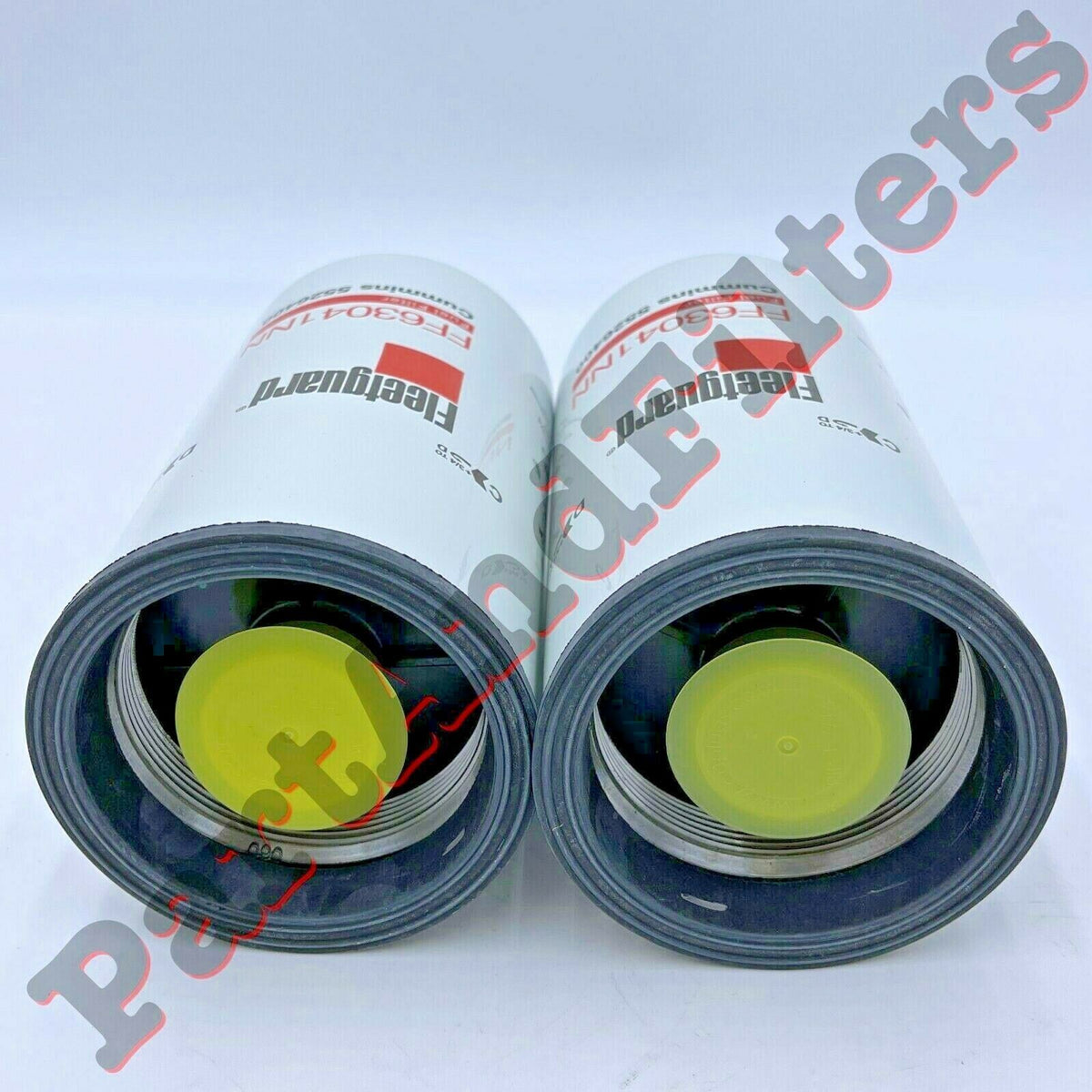 Fleetguard FF63041NN Fuel Filter (Pack of 2) – PartAndFilters